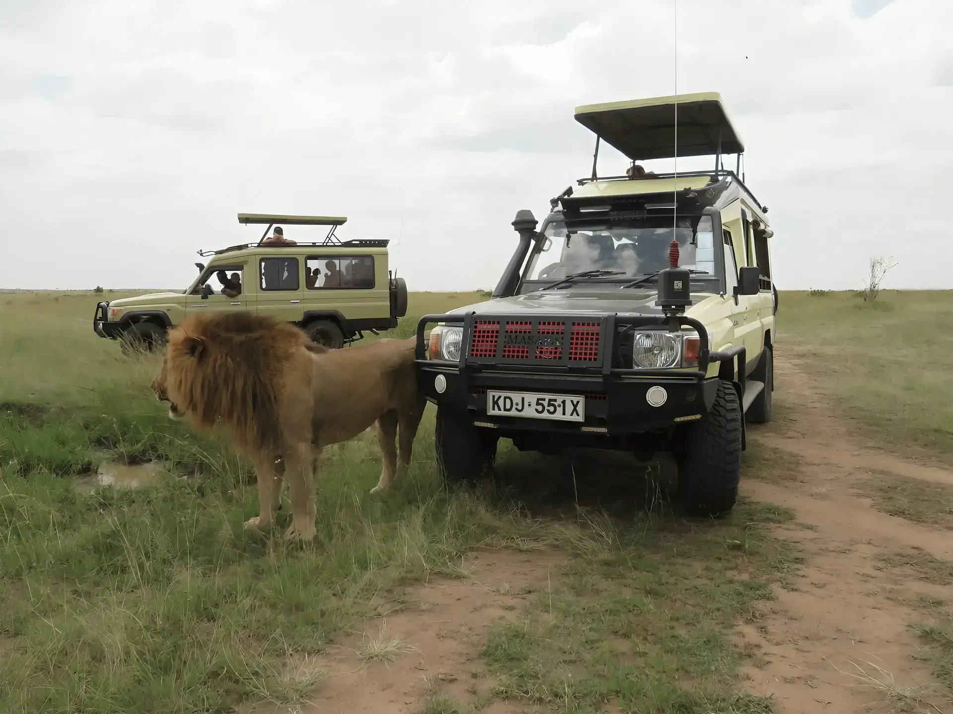 About Us - Extra Miles Unique Adventures